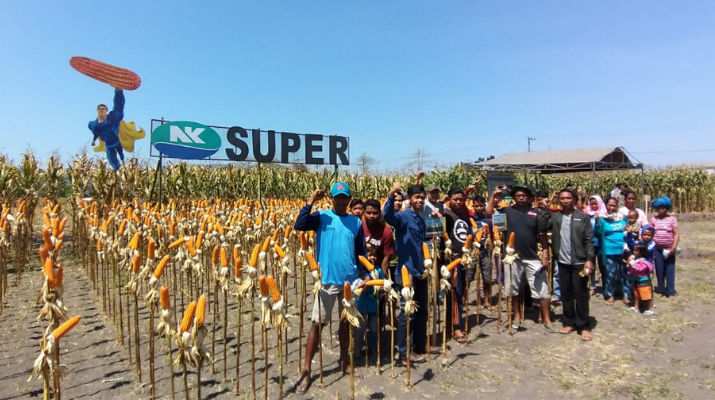 Launching NK Super | Syngenta