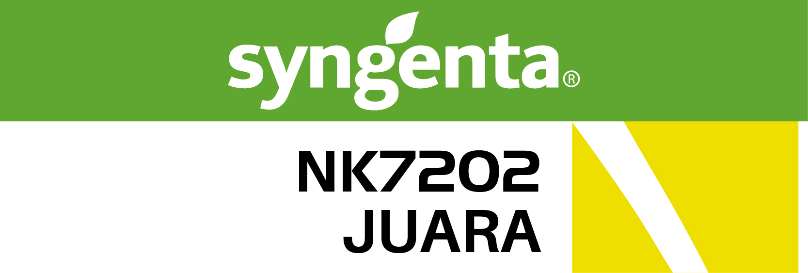 NK 7202 - Variety Jagung | Syngenta