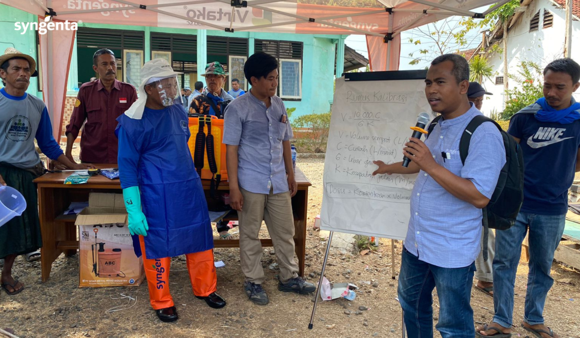 Pelatihan penggunaan herbisida parakuat terhadap 200 petani jagung ...